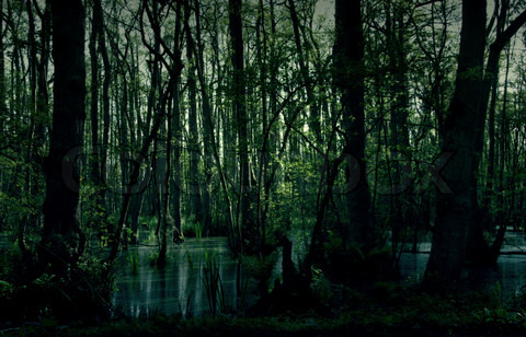 Poetry Day: The Marchers of Vindervurld | Legends of Windemere