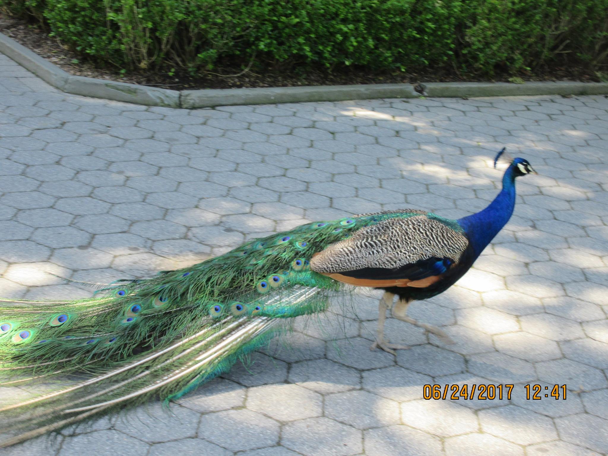 The Zoo Weekend in Pictures | Legends of Windemere