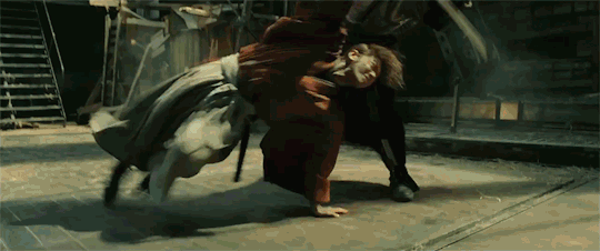 The Wild Movie Gif
