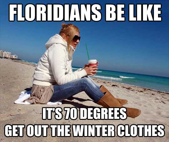 Cold Weather Memes: In Honor of the Temp Dropping | Legends of Windemere