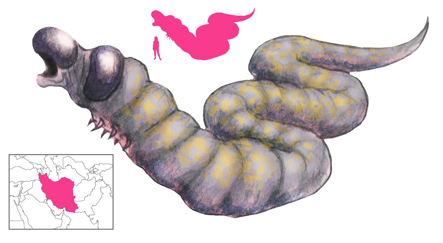 Monster Month: Indus Worm | Legends of Windemere
