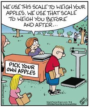 Apple Picking Day | Legends of Windemere