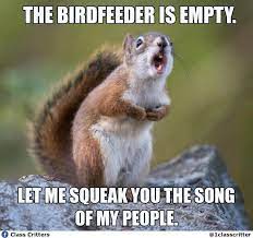 Happy Squirrel Appreciation Day | Legends of Windemere