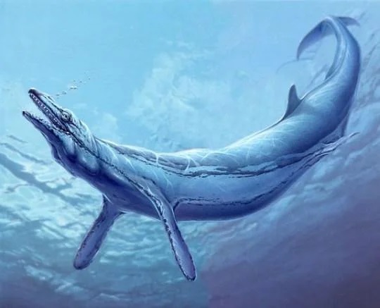 The Iliamna Lake Monster | Legends of Windemere
