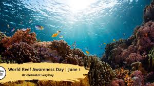 World Reef Awareness Day | Legends of Windemere